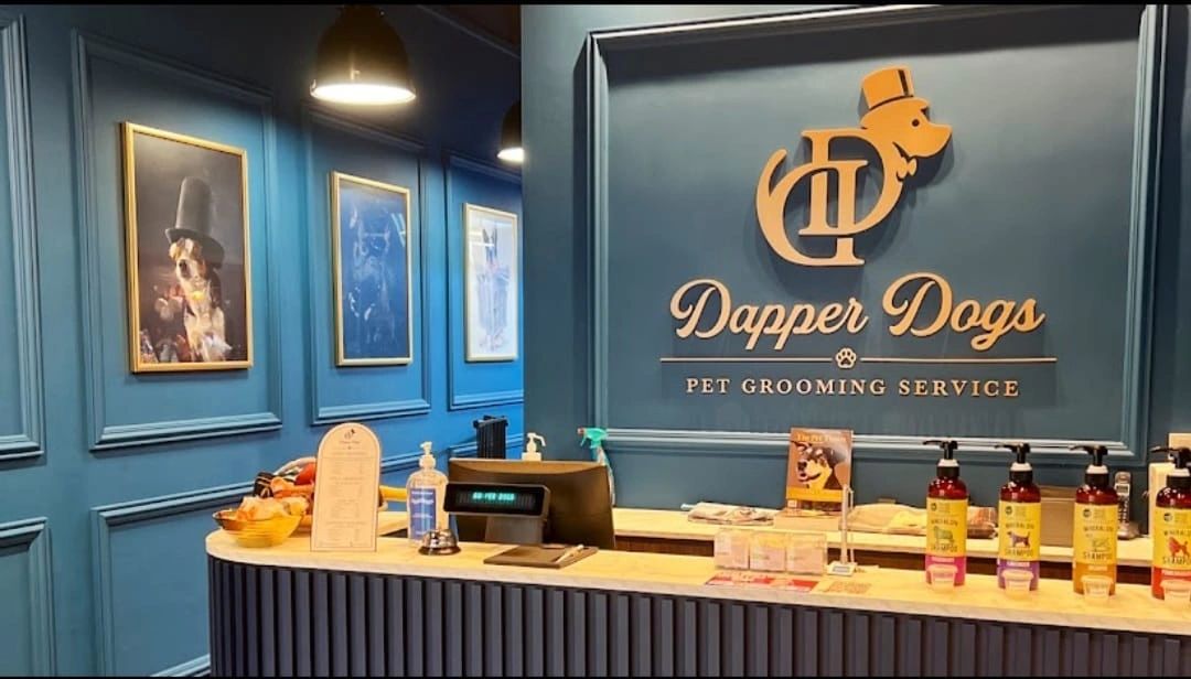 Dapper Dogs - Full Grooming, Pet Grooming, Dog Grooming Singapore